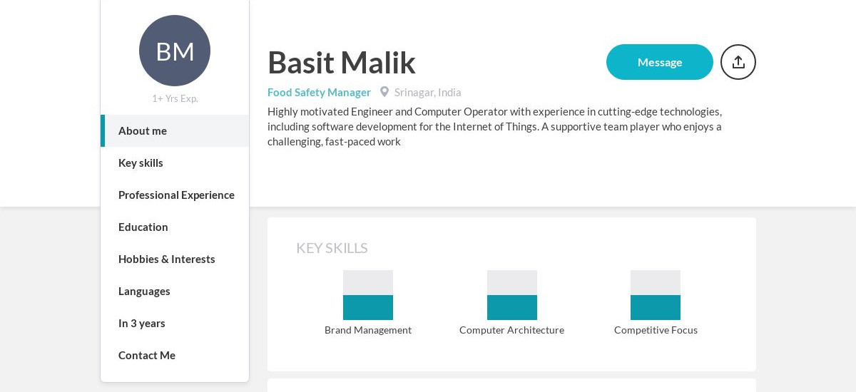 Basit Malik Online Resume | CraftmyCV