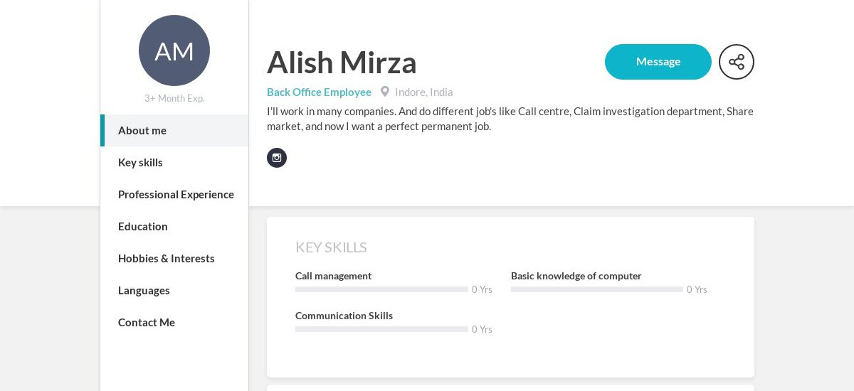 Alish Mirza Online Resume | CraftmyCV