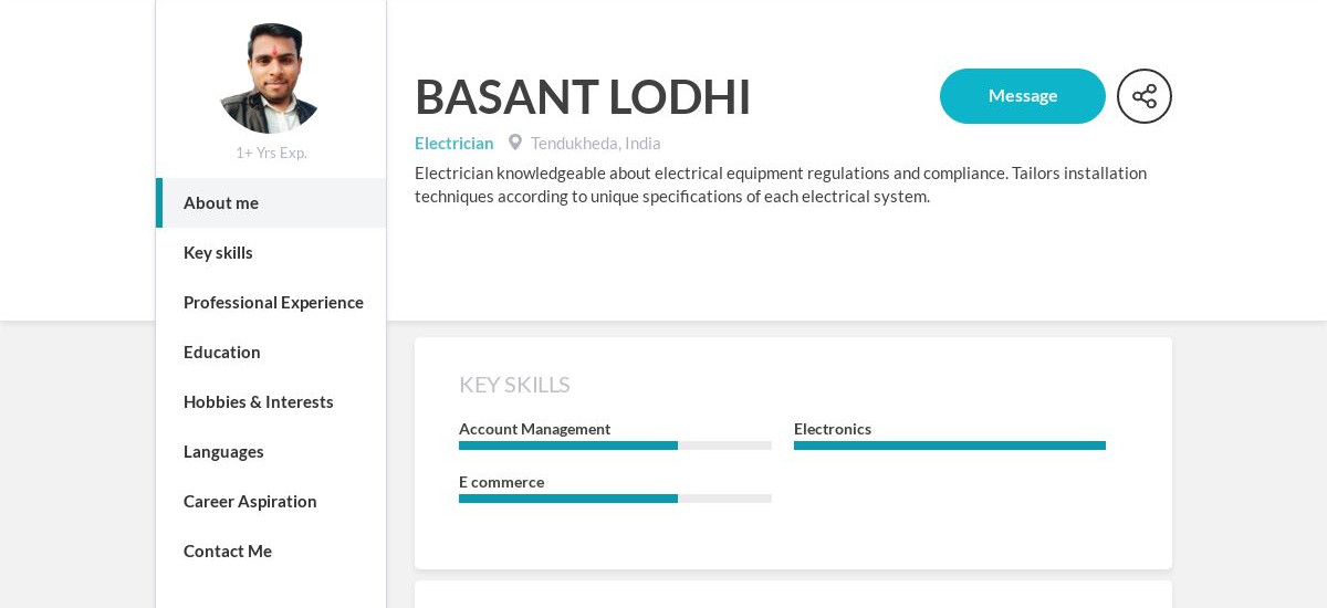 BASANT LODHI Online Resume | CraftmyCV