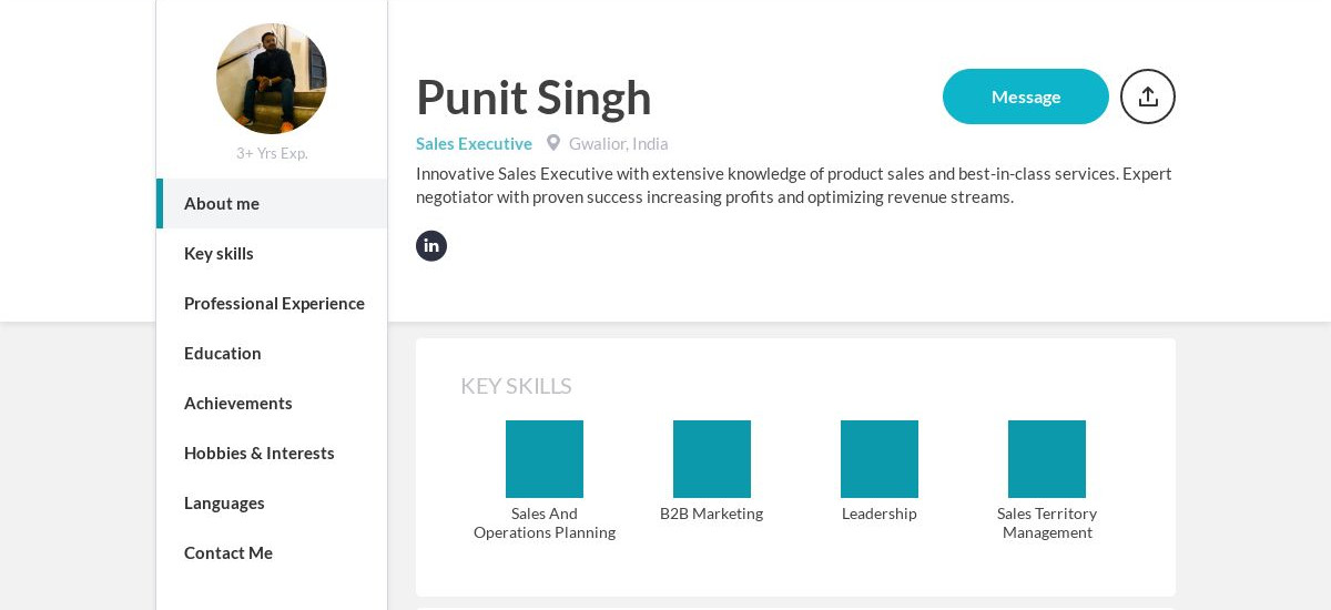 Punit Singh Online Resume | CraftmyCV