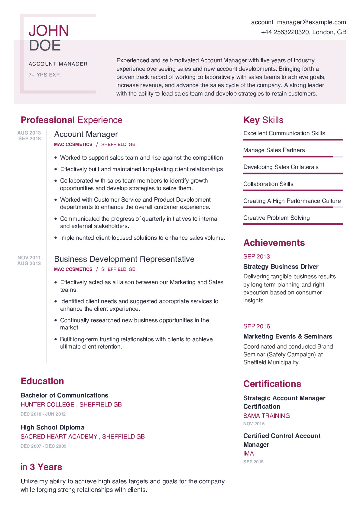 Resume Example For Sales Professionals Job In 2020 CraftmyCV